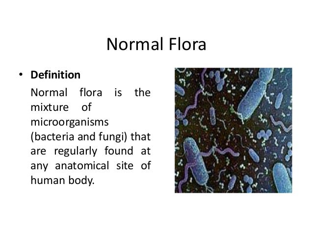 Cell structure of bacteria and normal flora