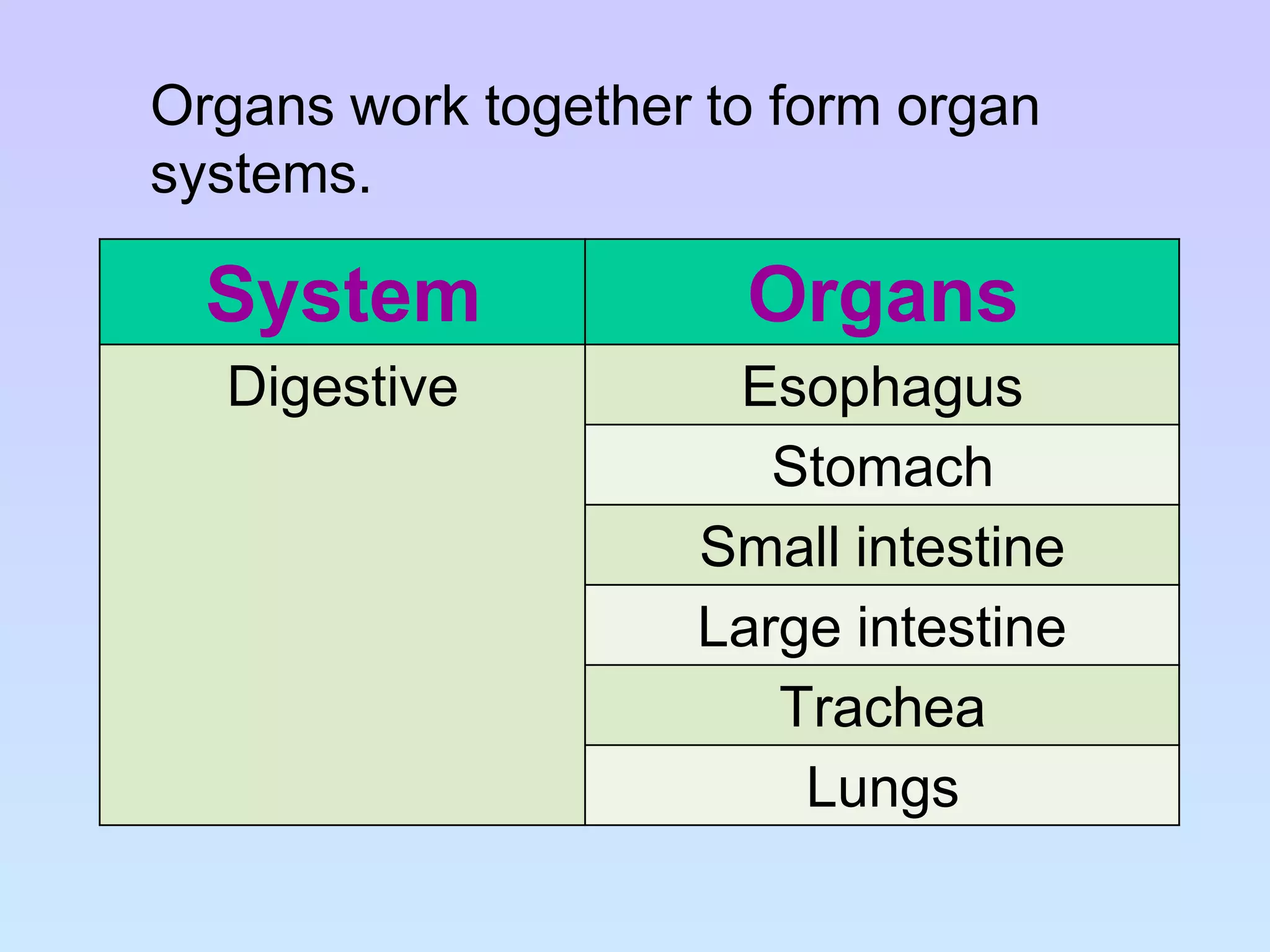 Cellstructureandorganisationlssbiology | PPT