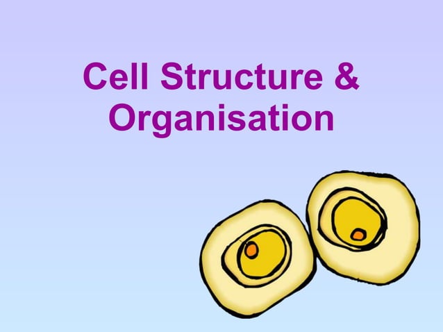 Cellstructureandorganisationlssbiology | PPT