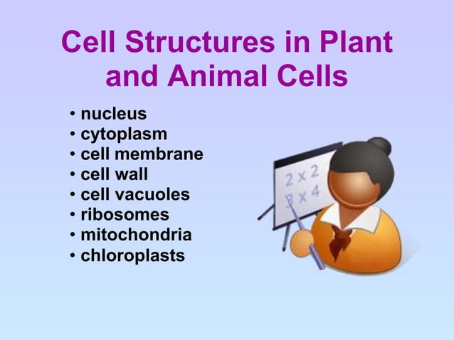 Cellstructureandorganisationlssbiology | PPT