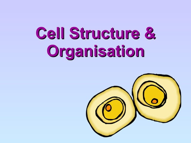 Cell structure and organisation | PPT