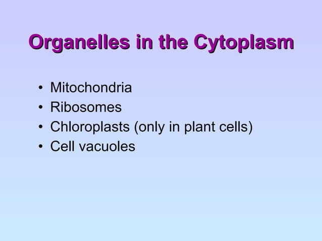 Cell structure and organisation | PPT