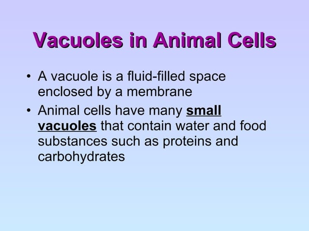 Cell structure and organisation | PPT