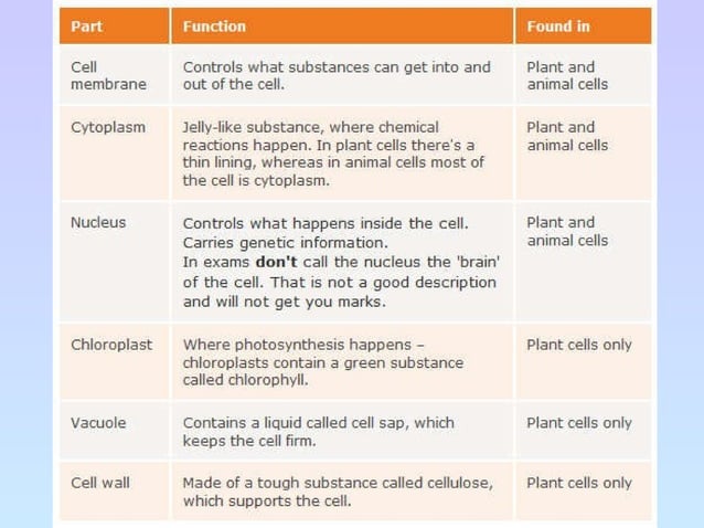 Cell structure and organisation | PPT
