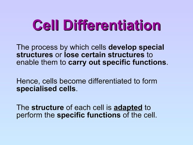 Cell structure and organisation | PPT