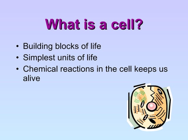 Cell structure and organisation | PPT