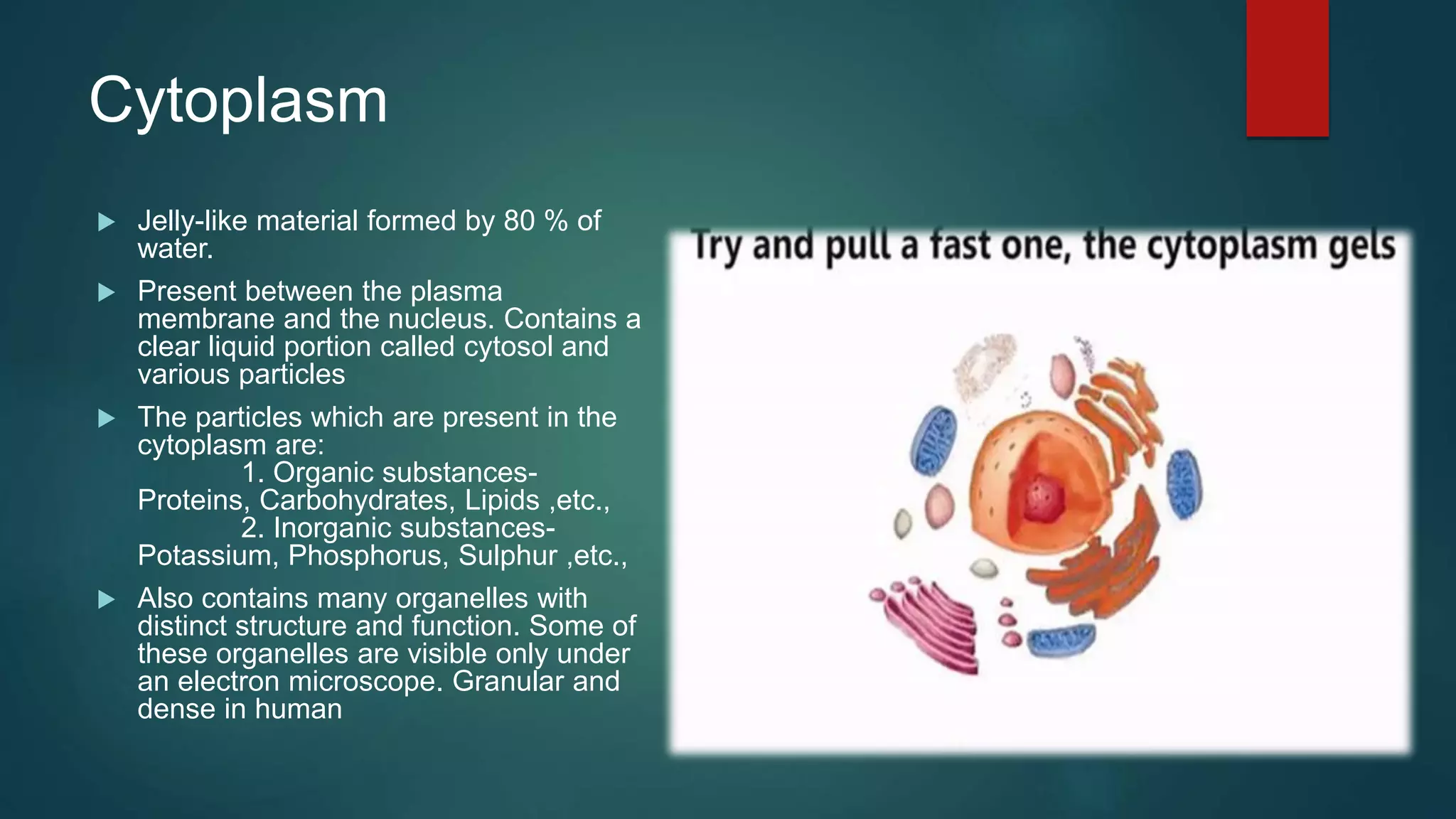 CELL STRUCTURE AND TRANSPORT.pptx