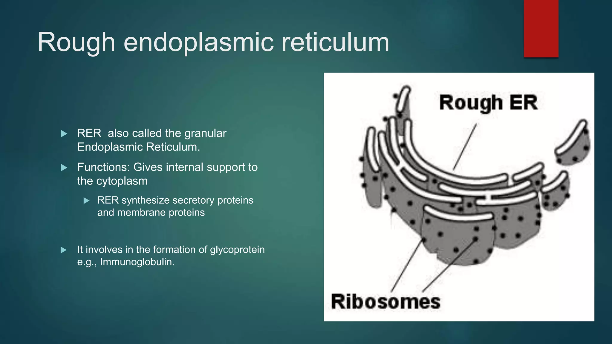 CELL STRUCTURE AND TRANSPORT.pptx