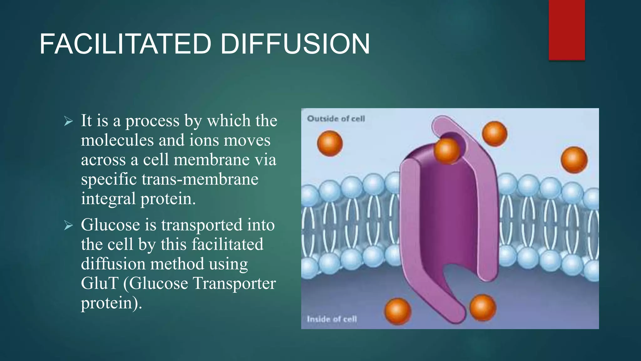 CELL STRUCTURE AND TRANSPORT.pptx