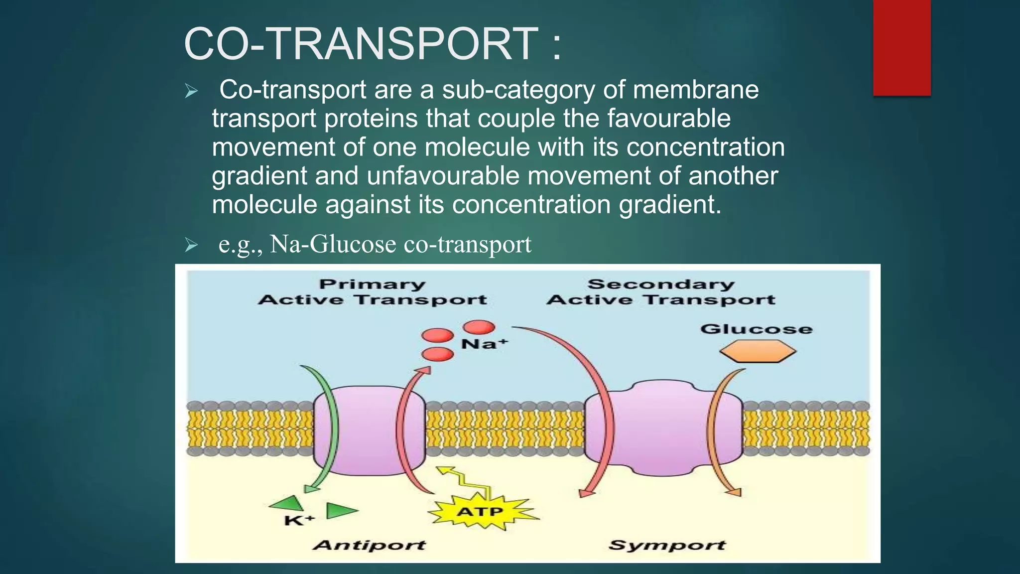 CELL STRUCTURE AND TRANSPORT.pptx