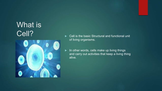 CELL STRUCTURE AND TRANSPORT.pptx