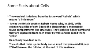Cell structure anmd function | PPT