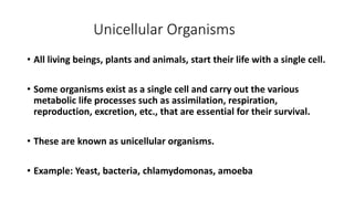Cell structure anmd function | PPT