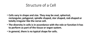 Cell structure anmd function | PPT