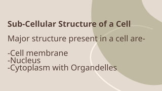 Cell Structure for grade 9 th- 10th.pptx