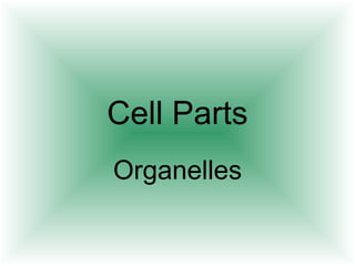 Cell structure function | PPT