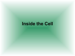 Cell structure function | PPT | Biological Sciences | Science
