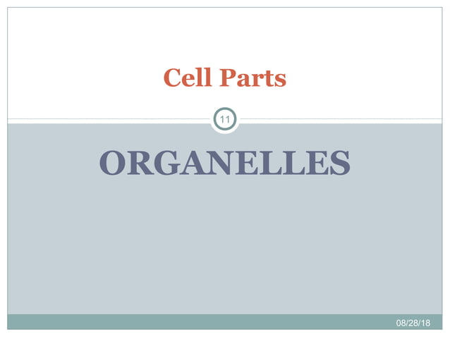 Cell structure function | PPT