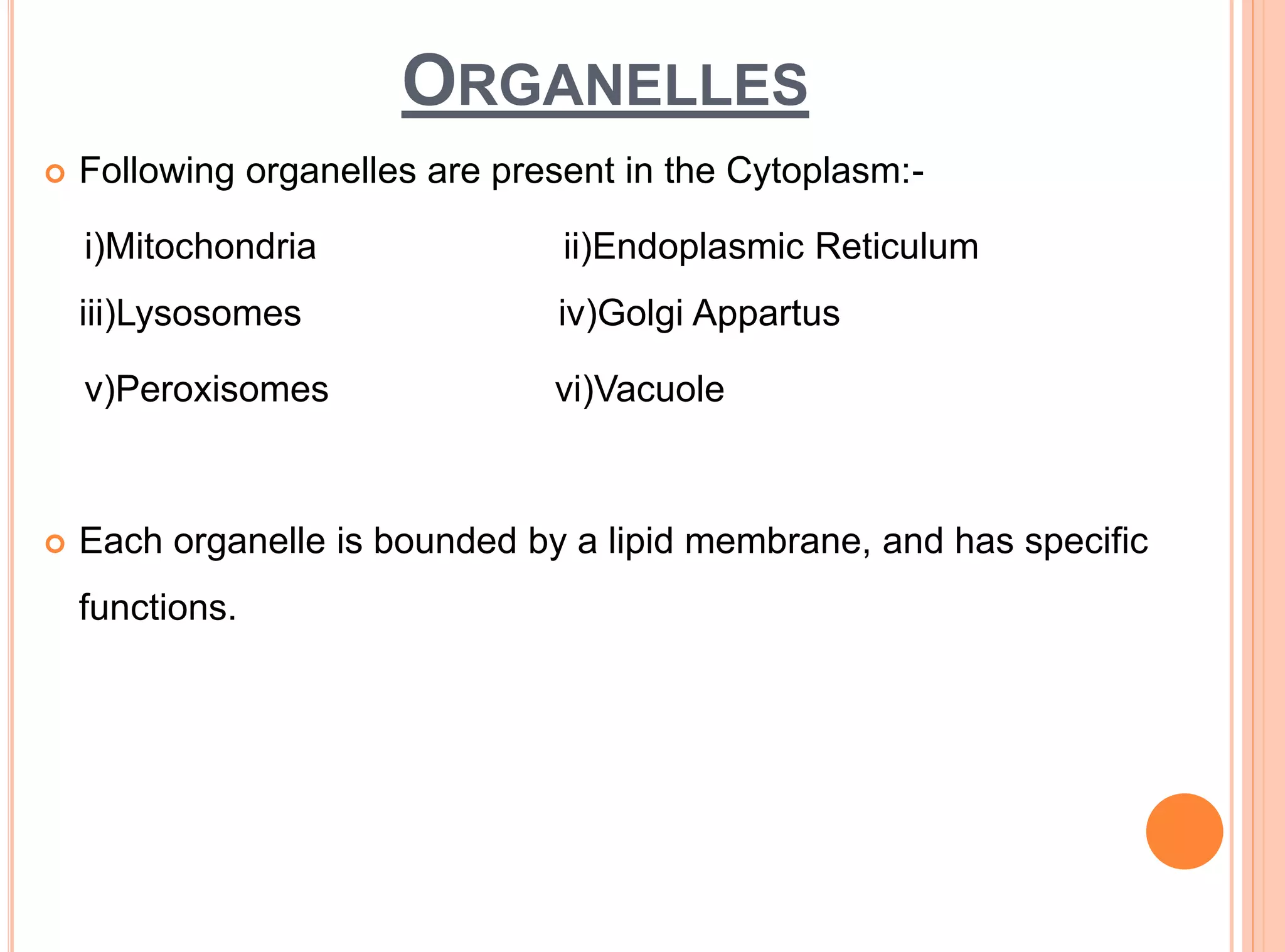 Cell: Structure & Function | PPTX
