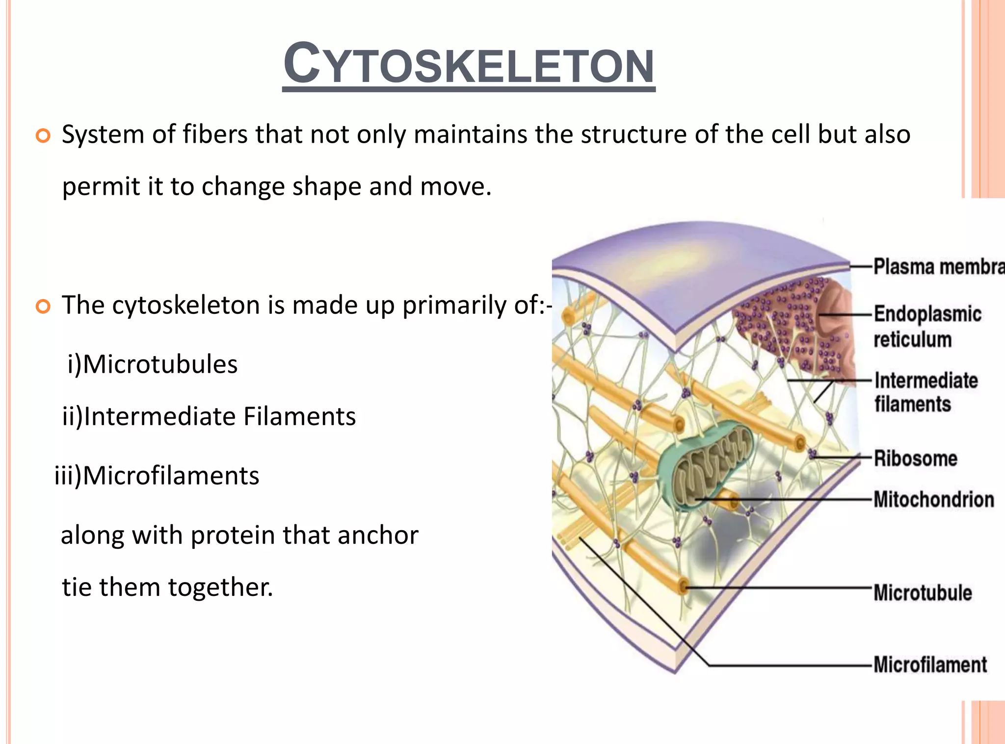 Cell: Structure & Function | PPTX