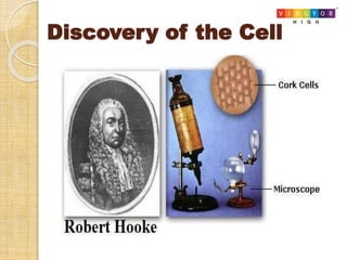 Cell- structure and function. | PPTX