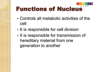 Cell- structure and function. | PPTX