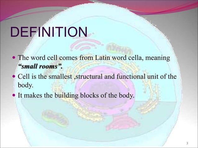 Cell structure & function | PPT