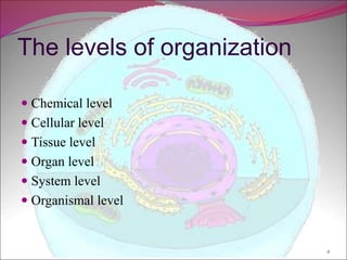 Cell structure & function | PPT