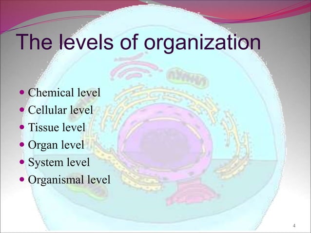 Cell structure & function | PPT