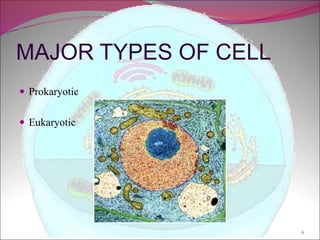 Cell structure & function | PPT