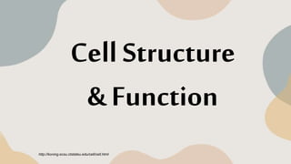 Cell_structure_function.ppt