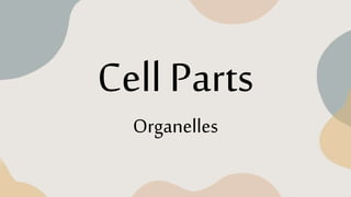 Cell_structure_function.ppt