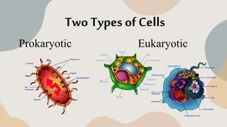 Cell_structure_function.ppt