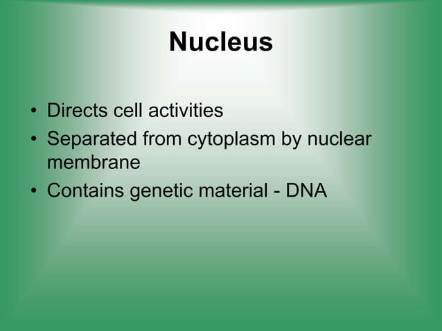 Cell_structure_function.ppt