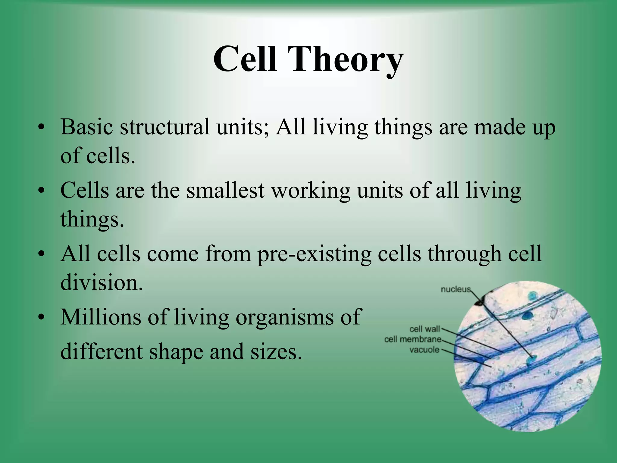 Cell_structure_function.ppt