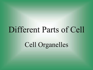 Cell_structure_function.ppt