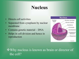 Cell_structure_function.ppt