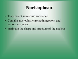 Cell_structure_function.ppt