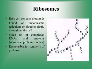 Cell_structure_function.ppt