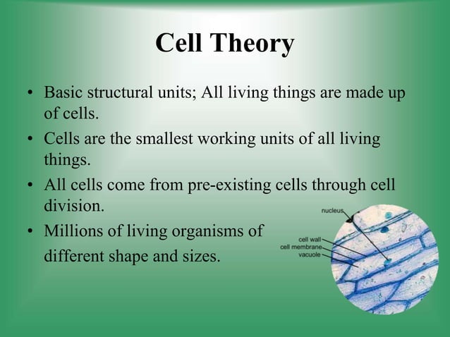 Cell_structure_function.ppt