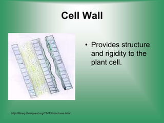 Cell_structure_function.ppt