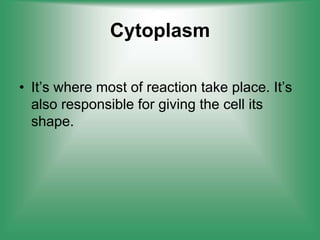 Cell_structure_function.ppt