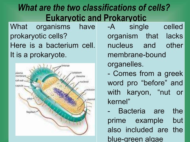 Cell_structure_function.ppt