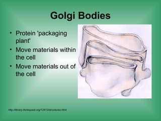 Cell_structure_function Biology Lesson.. | PPT