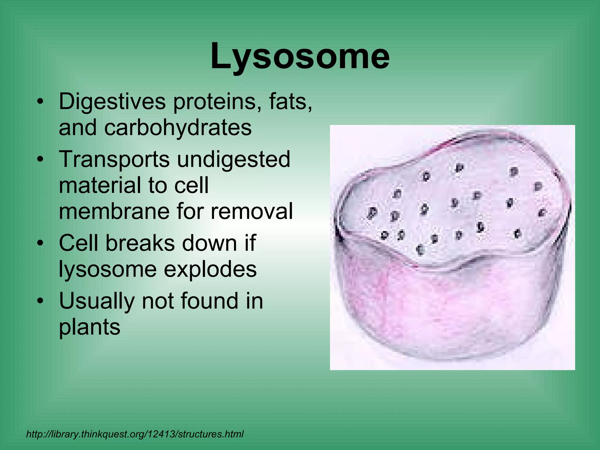 Cell structure function[1] | PPT