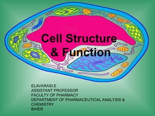 CELL STRUCTURE FUNCTION BIOCHEMISTRY B PHARM.ppt