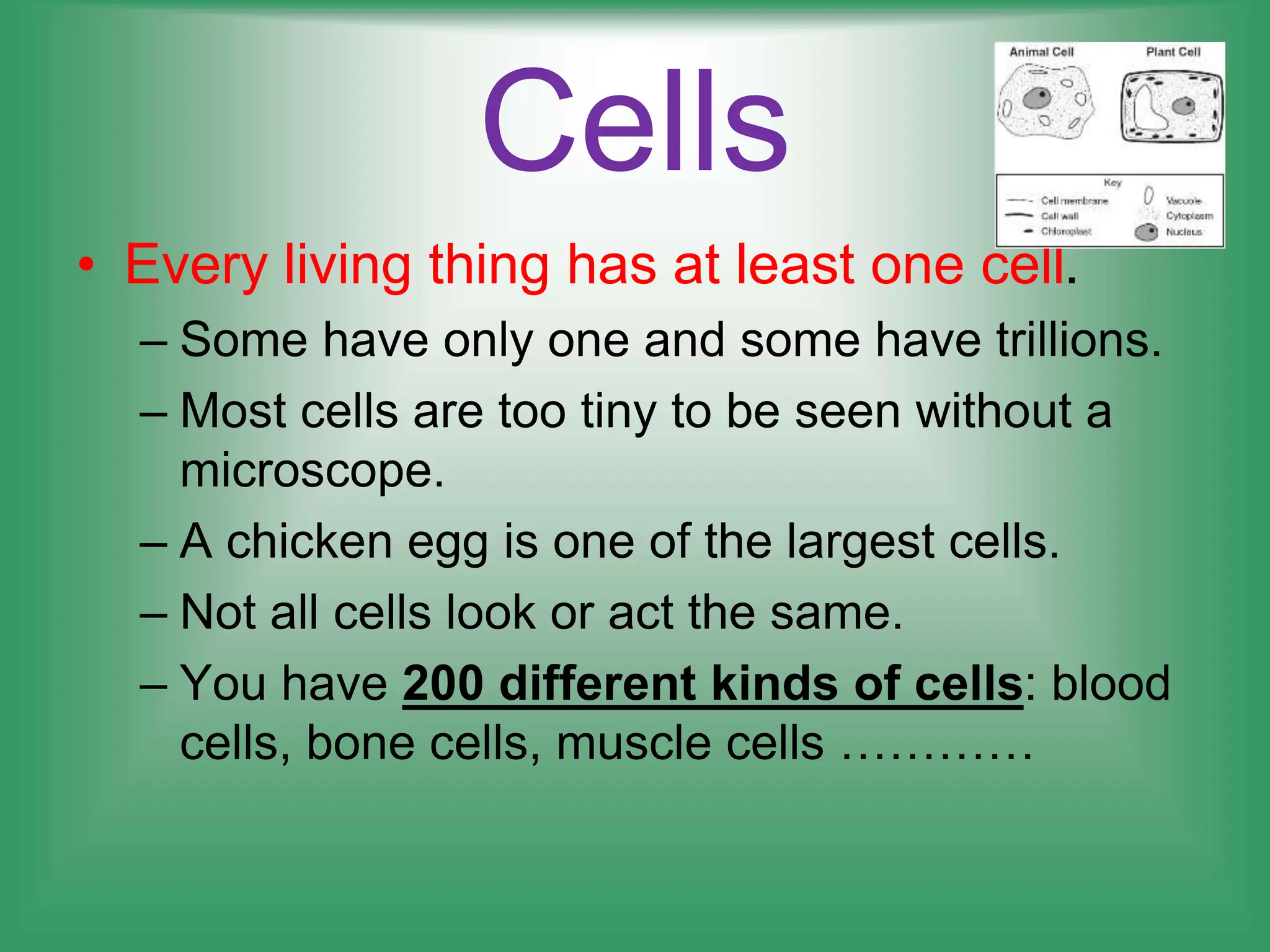 Cell_structure_function GRADE10 FOR CAPS.ppt