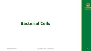 CELL STRUCTURE AND FUNCTION FOR CAMBRIDGE IGCSE | PPT