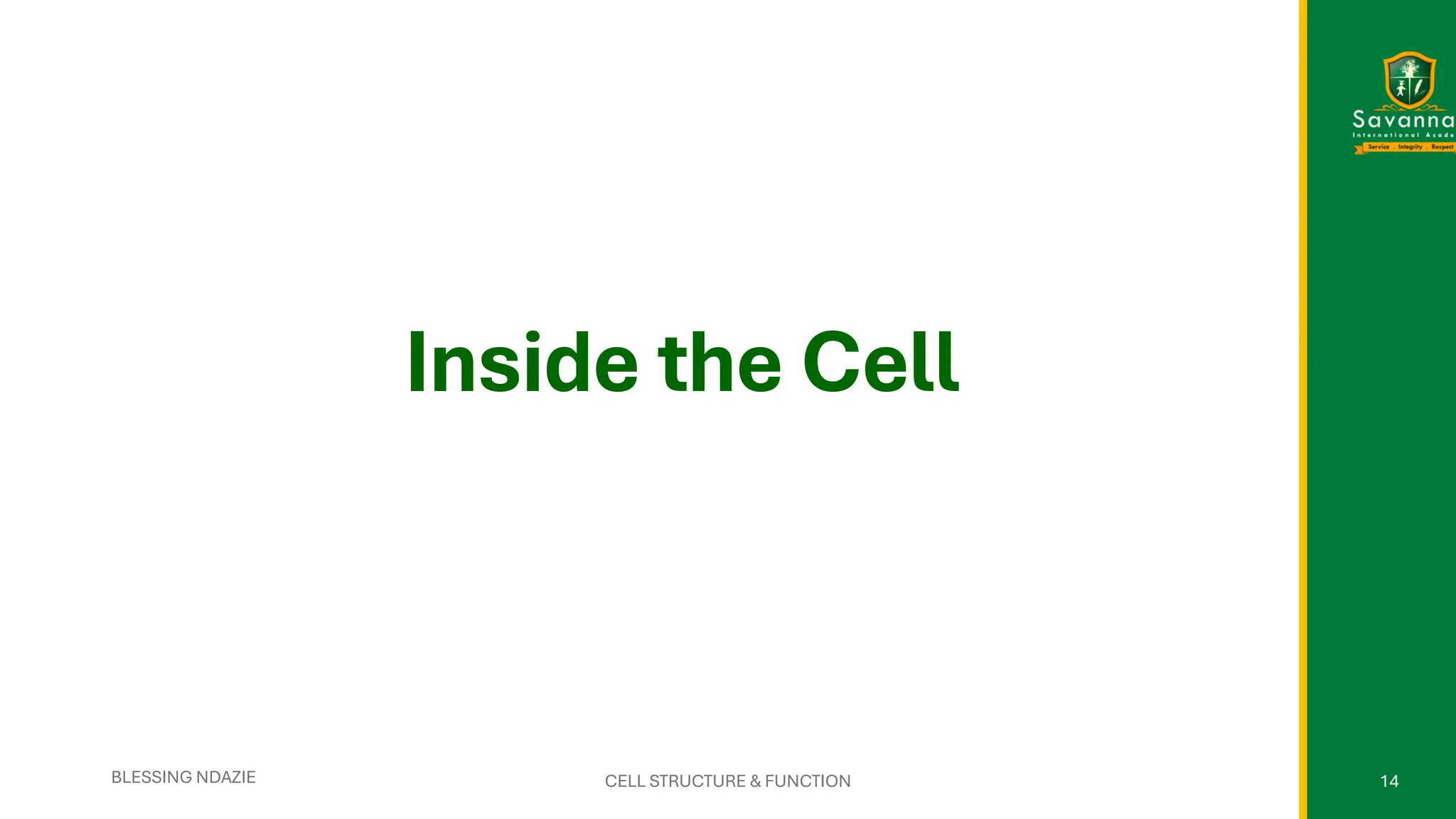 Cell Structure & Function | Cambridge IGCSE Biology | PDF