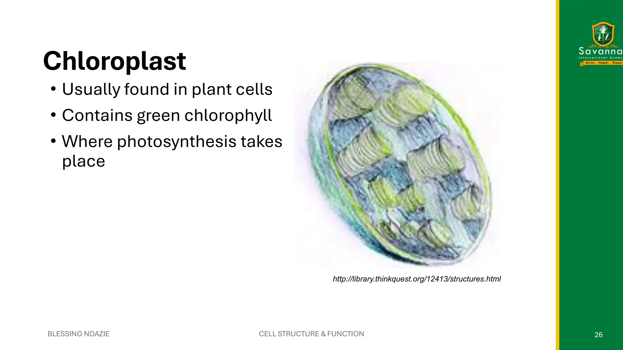 Cell Structure And Function Cambridge Igcse Biology Pdf